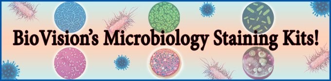 BioVision’s Microbiology Staining Kits - 코아사이언스 : 네이버 블로그