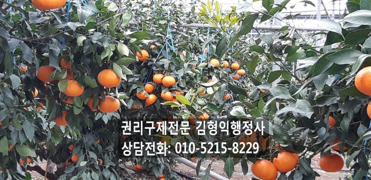 식품접객업 영업자의 준수사항 위반 시 영업정지행정처분 등을 받을 수 있습니다 네이버 블로그