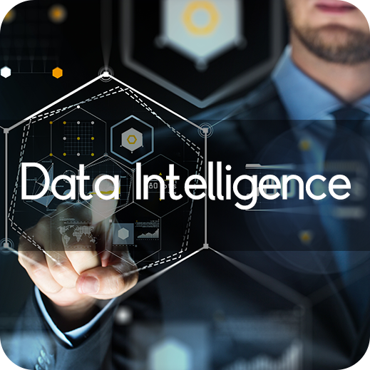 데이터 인텔리젼스(Data Intelligence) : 네이버 블로그