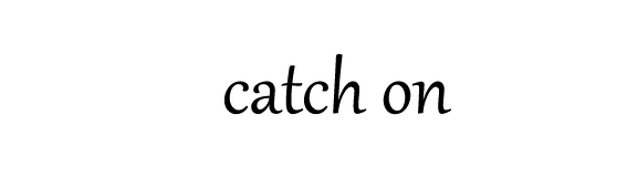 [숙어]catch on의미/뜻/해석/유행하다영어로/이해하기시작하다영어로 : 네이버 블로그