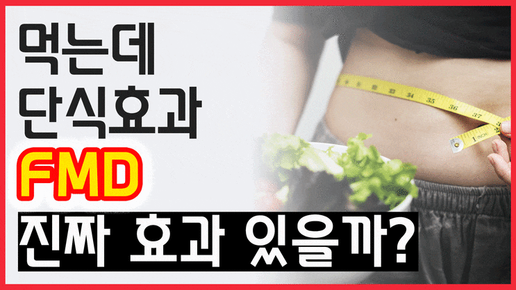 매일 먹는 FMD 진짜 단식 효과 있을까? : 네이버 블로그
