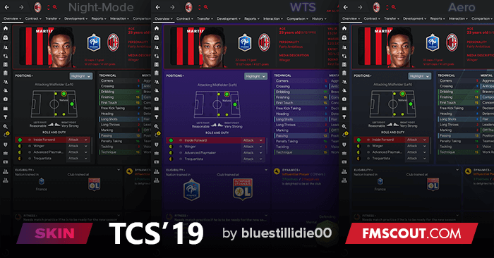 [FM19] 에펨19 스탯 가이드 설명 : 네이버 블로그