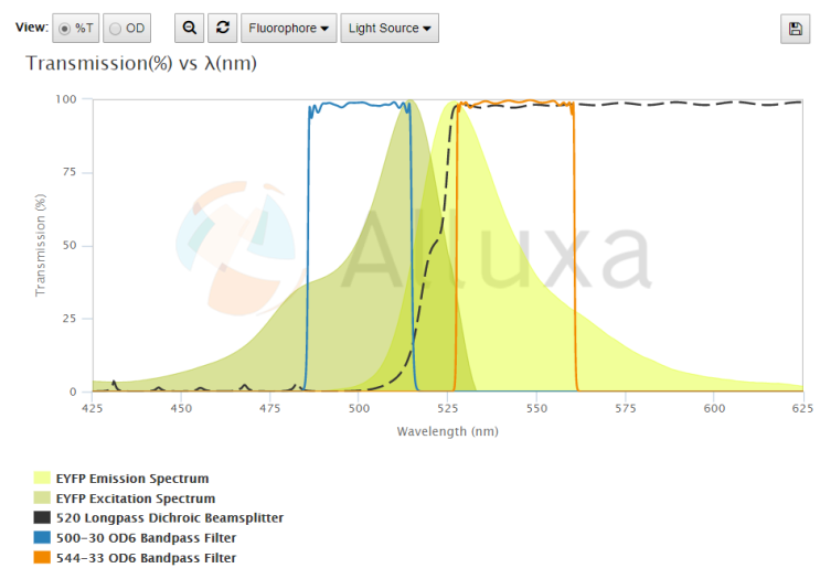 Single-Band Fluorescence Filter - YFP Widefield Fluorescence Filter ...