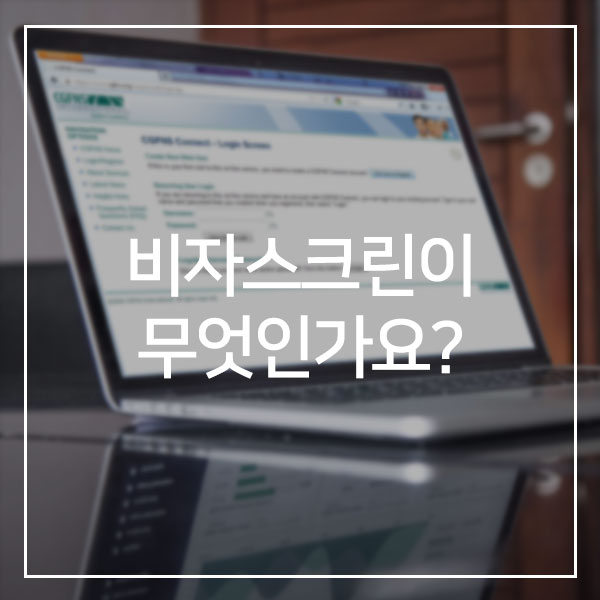 비자스크린(VisaScreen)이 무엇인가요? : 네이버 블로그