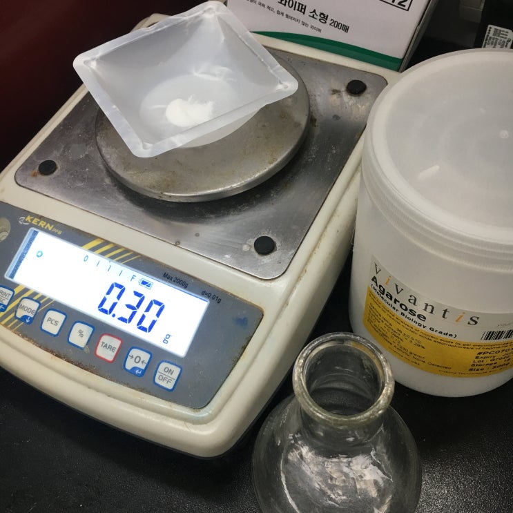 Cloning - Gel electrophoresis : 네이버 블로그