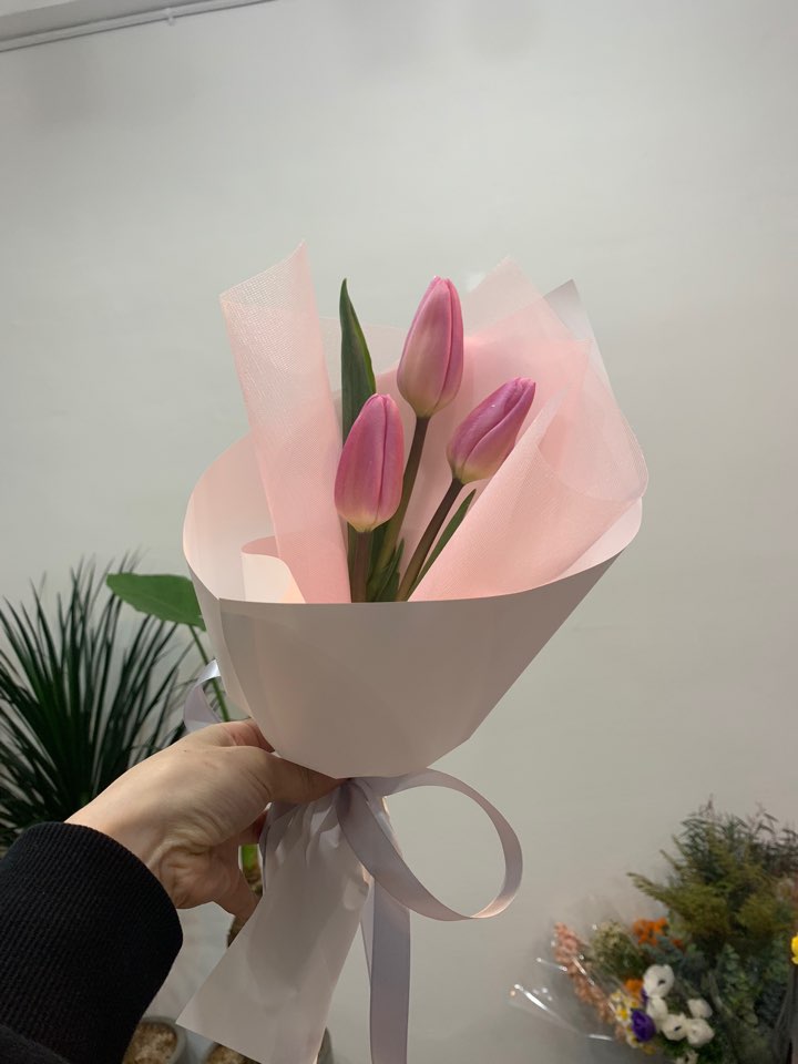 속초꽃집 월화 月花 월화꽃집 속초 꽃다발 속초 꽃배송 속초 이쁜 꽃집 대형꽃다발 속초 드라이플라워 네이버 블로그