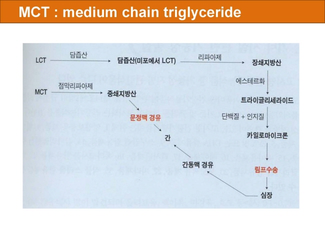 중간사슬 지방산(MCT)... 포화지방에도 좋은 포화지방이 있다?? : 네이버 블로그