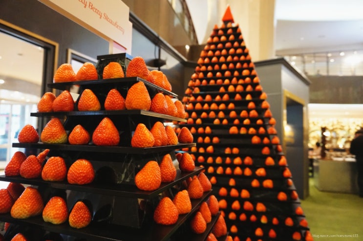 2019 워커힐 딸기뷔페 Very Berry Strawberry 그랜드워커힐 서울 더파빌리온 딸기뷔페 솔직후기 딸기뷔페