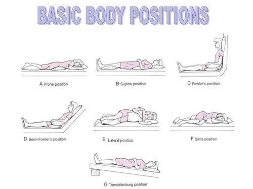 신체에 관한 의학용어 : 네이버 블로그