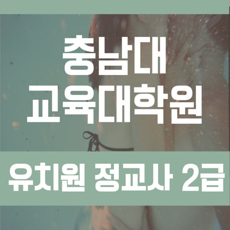 충남대 교육대학원 유아교육전공 교원자격증 취득과정 네이버 블로그