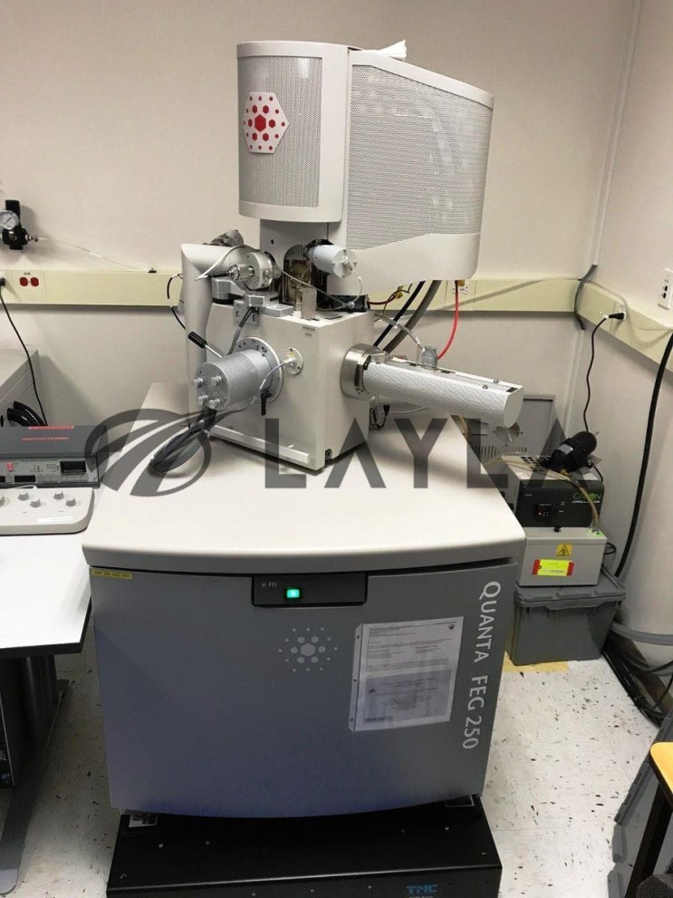 Quanta FEG 250 SEM Scanning Electron Microscope, Quanta 200 FEG MK2 ...