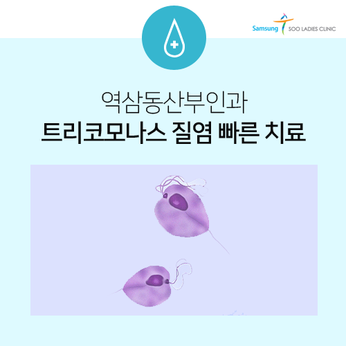 트리코모나스 질염 증상 역삼동산부인과 빠른 성병 치료 네이버 블로그