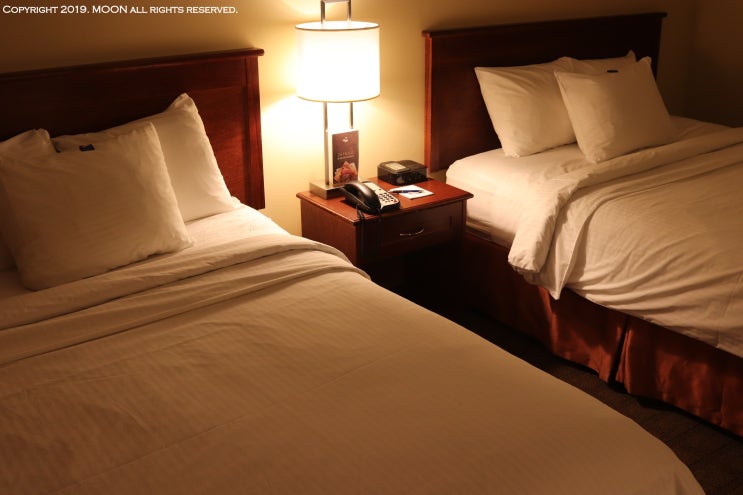 [2019 캐나다] 익스플로러 호텔(The Explorer hotel) 퀸룸 숙박 후기 - 옐로나이프 숙소 추천 : 네이버 블로그