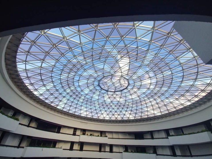 [D+133 멕시코 라이프] 한국으로 돌아갑니다. : 네이버 블로그