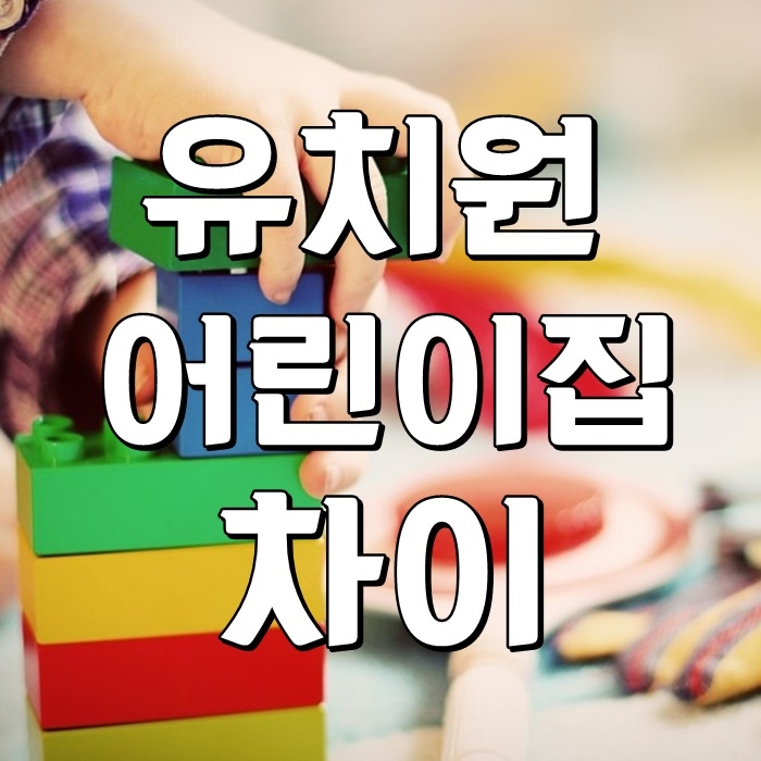 유치원 어린이집 차이 다섯살 꿀팁 네이버 블로그
