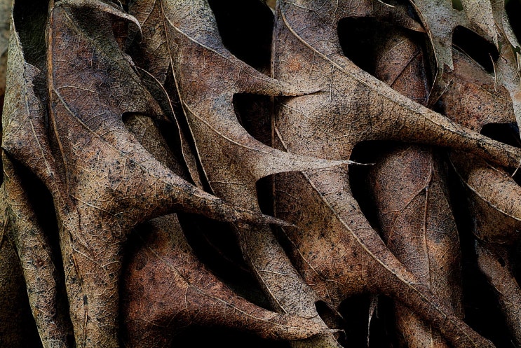 Mike Moats - 작은세상속 풍경담기 : 네이버 블로그