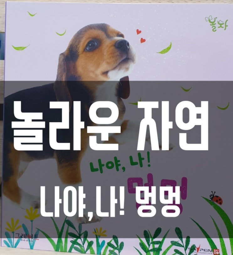 《구미정글북어린이서점》놀라운자연과 함께 신나게 놀아보아요나야나멍멍 네이버 블로그