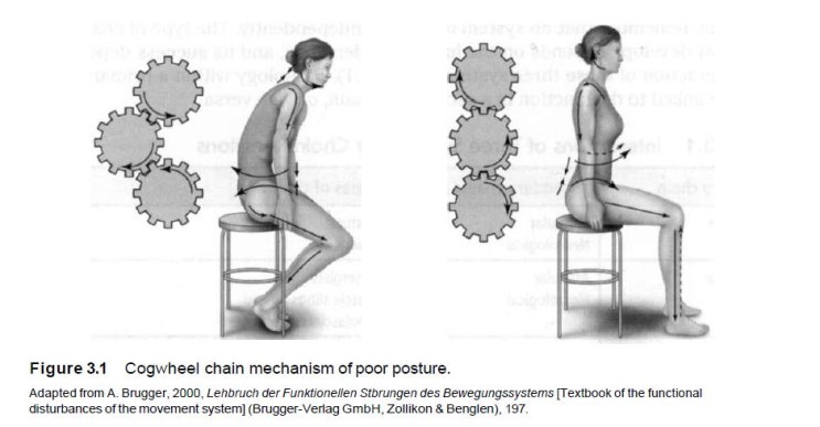 얀다의 근육불균형의 평가와 치료(Assessment and Treatment of Muscle Imbalance The ...