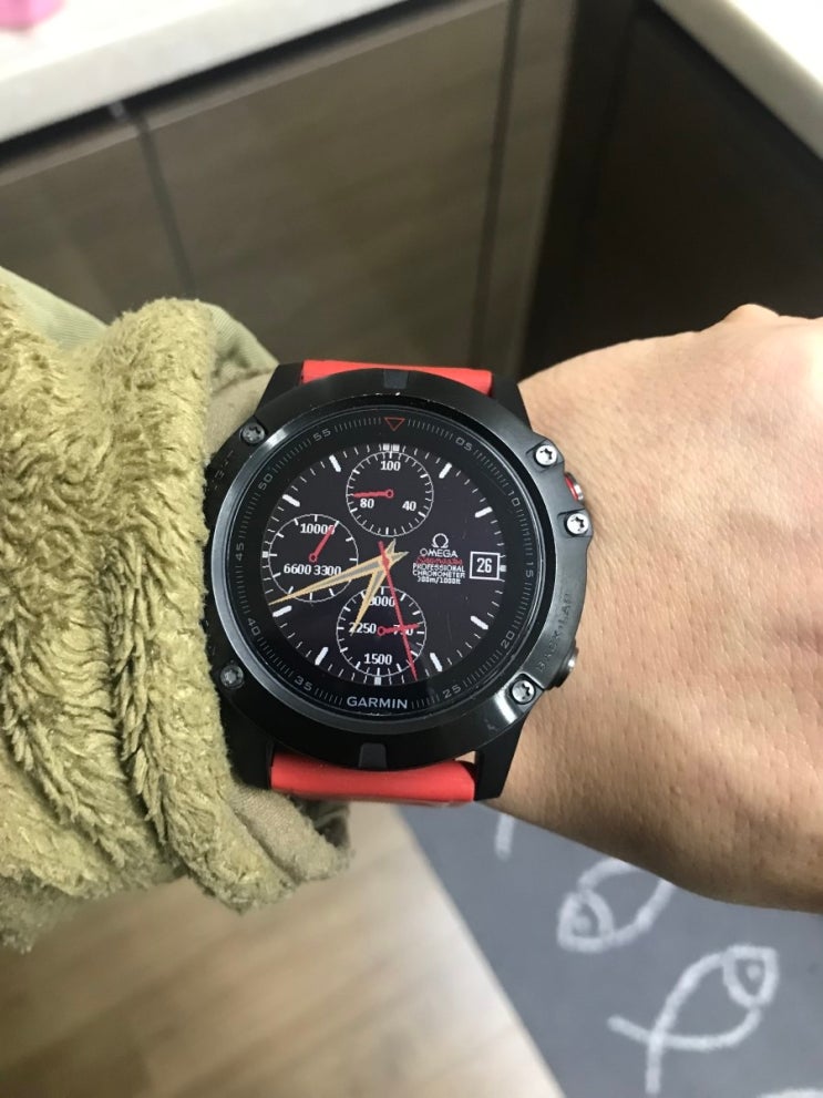 GARMIN fenix 5x : 네이버 블로그