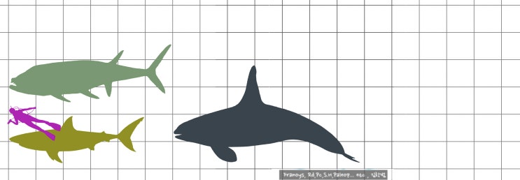 Xiphactinus audax size compared to human : 네이버 블로그