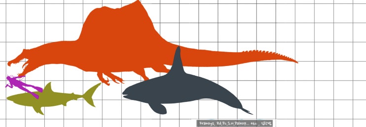 Sigilmassasaurus brevicollis size compared to human : 네이버 블로그