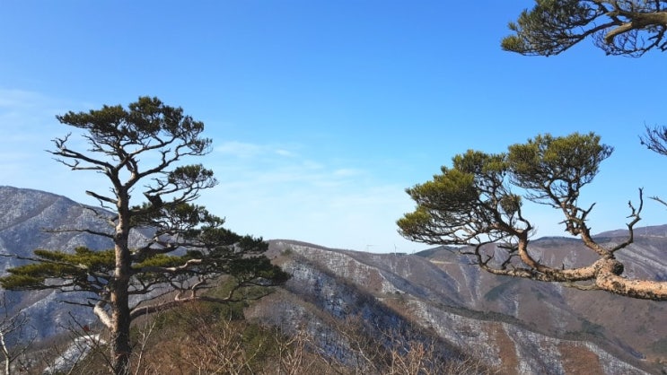 대표이사가 이사회등 결의없이 회사 재산을 처분한 것에 대해 업무상배임죄 적용 사례 네이버 블로그