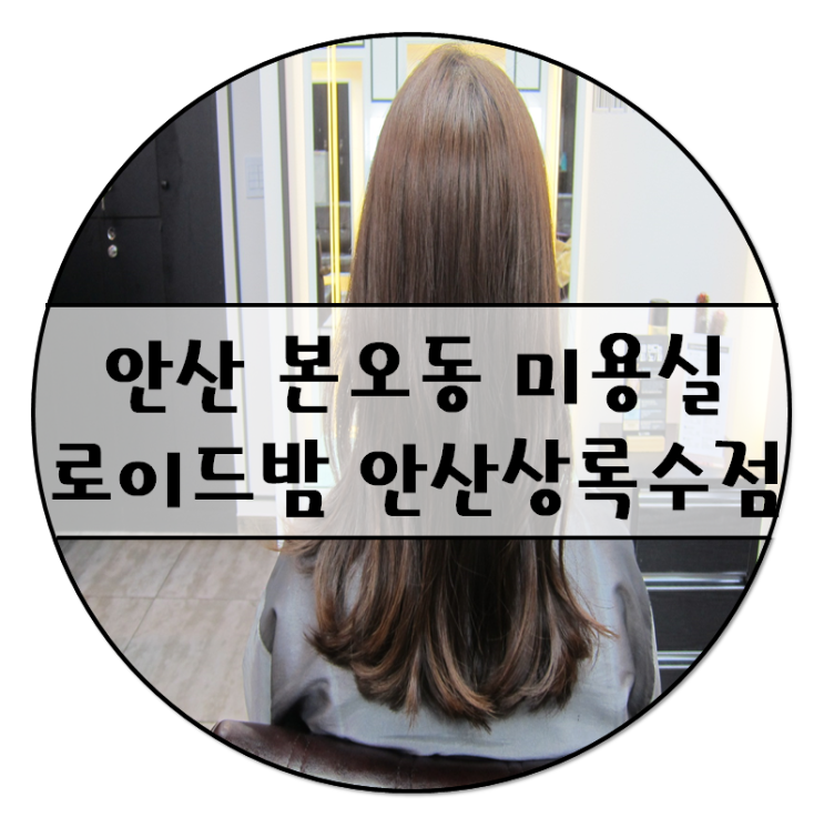 안산 본오동 미용실 로이드밤 안산상록수점에서 커트했어요 네이버 블로그