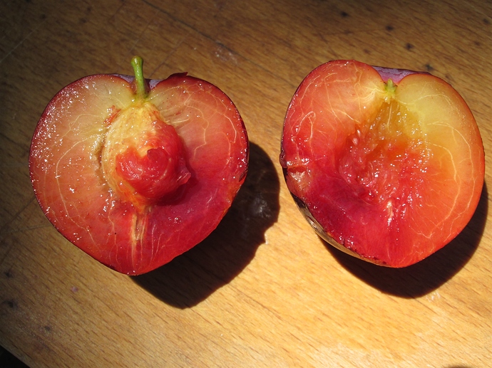 달콤함의 극치 슈거 트위스트 Pluerry : 네이버 블로그