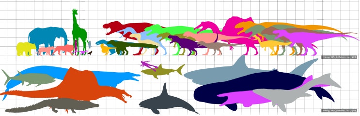 Size compared to human (All) : 네이버 블로그