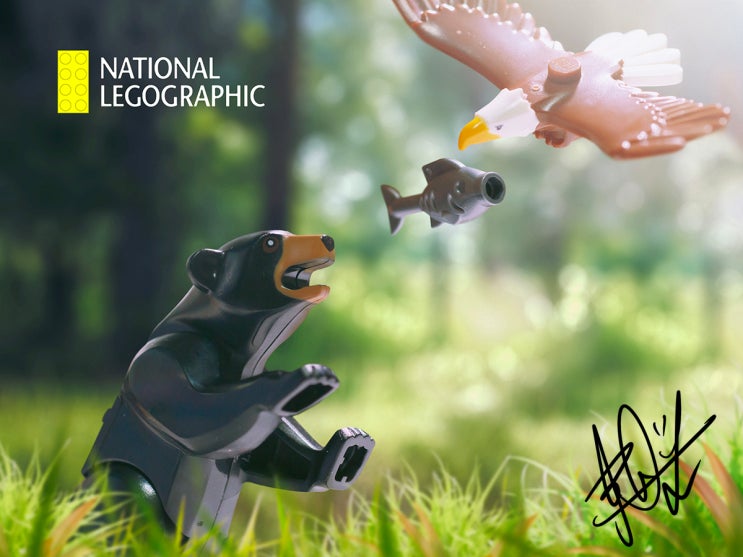 [ 레고 시티 ] 물고기를 낚아 채려는 곰과 독수리 : 네이버 블로그