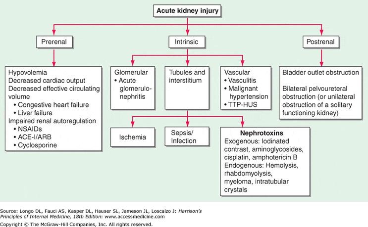 급성 신손상(AKI) 정의와 원인 : 네이버 블로그