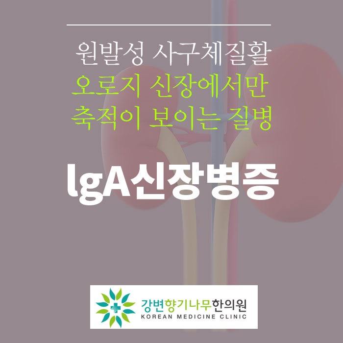 광진구한의원 lgA신장병증 원인부터 검사 치료까지 향기나무한의원에서 : 네이버 블로그