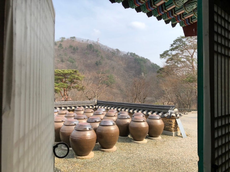 울산 근교 경주 양남 기림사 템플스테이 로 힐링힐링 네이버 블로그