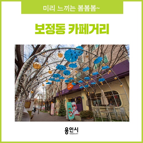 용인 가볼만한 곳 서울 근교 데이트 코스 보정동 카페거리 네이버 블로그