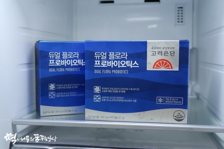 고려은단 듀얼플로라프로바이오틱스 유산균 열심히 챙겨 보고 있어요 네이버 블로그