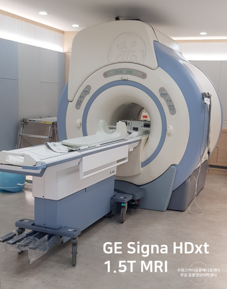 [수원24시동물병원, 스카이동물병원] GE Signa HDxt 1.5T MRI _ 수원스카이동물메디컬센터 : 네이버 블로그