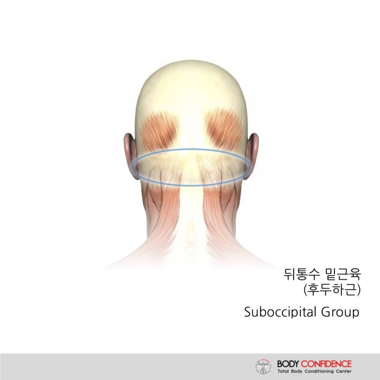 원인 모를 두통의 대표적인 근육 긴장 완화 방법연원마을 Pt용인 Pt구성역 Pt마북동 Pt 네이버 블로그