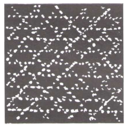 킬론틱 과학 (Keylontic Science) 4. 형태발생장 (Morphogenetic Field)과 DNA 진화 : 네이버 블로그