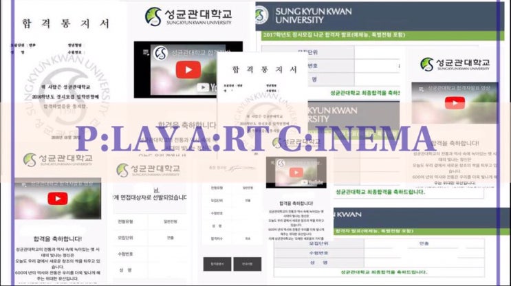 성균관대학교 연기예술학과 연출전공 합격 비밀 노트 네이버 블로그