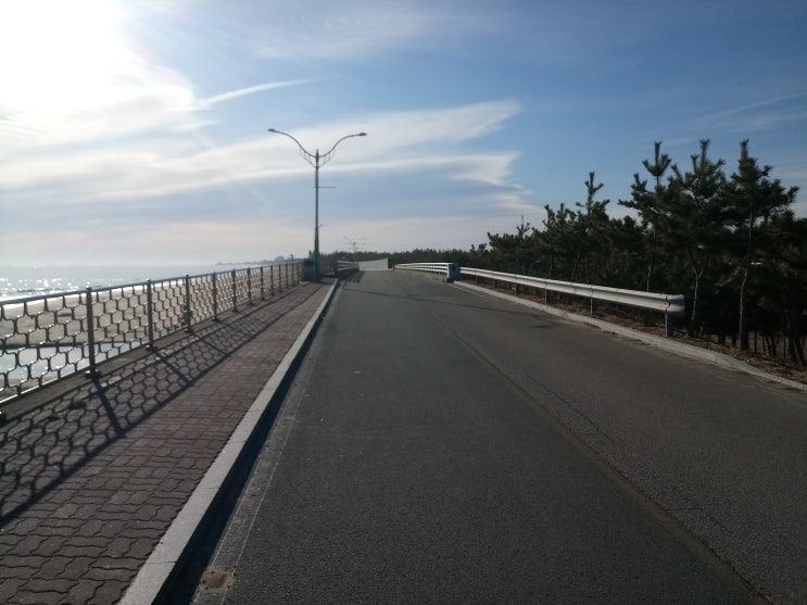 일상(2019.3월 운동-해파랑길41코스) : 네이버 블로그