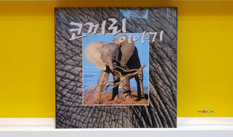 코끼리 이야기 몸무게키 부산 해운대 유아 아동 어린이 서점 책읽는 아이들 서점 네이버 블로그