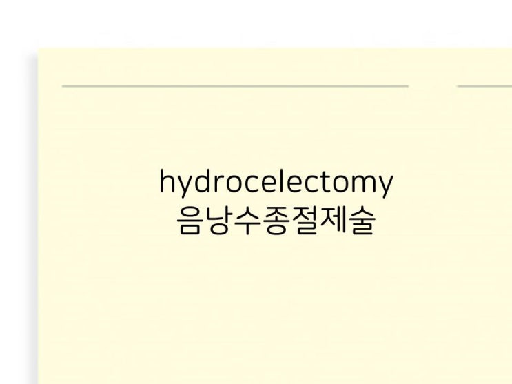UR hydrocelectomy 음낭수종절제술 : 네이버 블로그