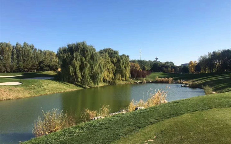 AROMA COUNTRY CLUB[중국 천진] : 네이버 블로그