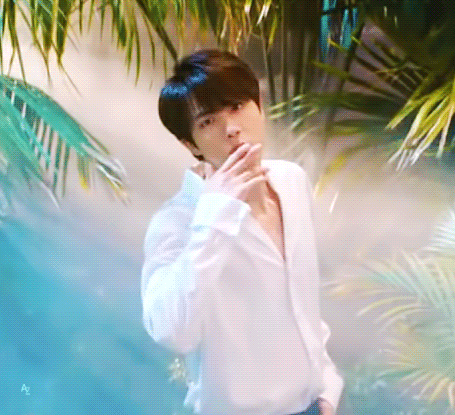 LDF Special Clips (D.ver) 방탄소년단 진 GIF : 네이버 블로그