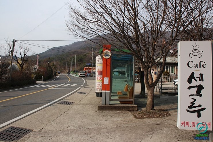 의령 커피 맛집 세그루 의령 최초의 로스터리 카페 네이버 블로그