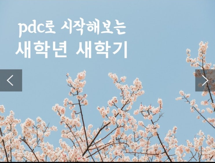 190313-세명초 연수-새학년새학기 pdc문제해결시스템(자기조절-나전달법'감바'-학급회의) : 네이버 블로그