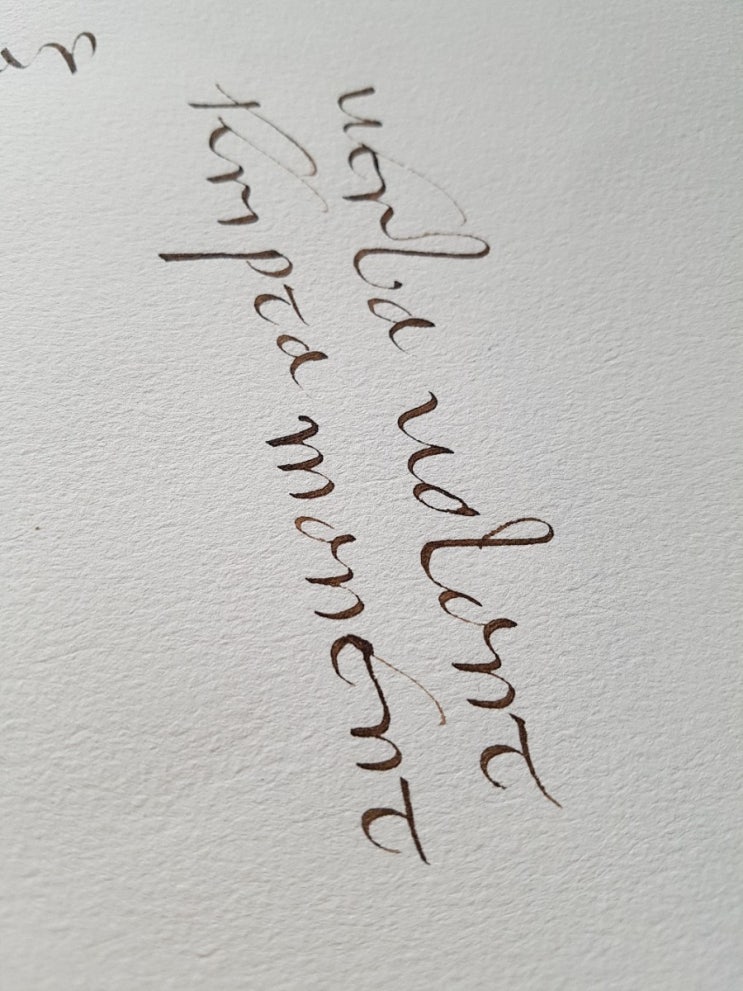 verba volant scripta manent : 네이버 블로그