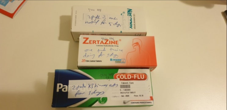 성인 알레르기성 비염, 두통약, 비염 코 스프레이 (Panadol, ZERTAZINE, Nasonex) : 네이버 블로그