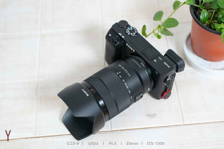 미러리스 카메라 소니 A6400의 AF와 소프트스킨 살펴보기 : 네이버 블로그