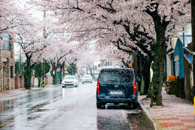 어디서 살 것인가? : 네이버 블로그
